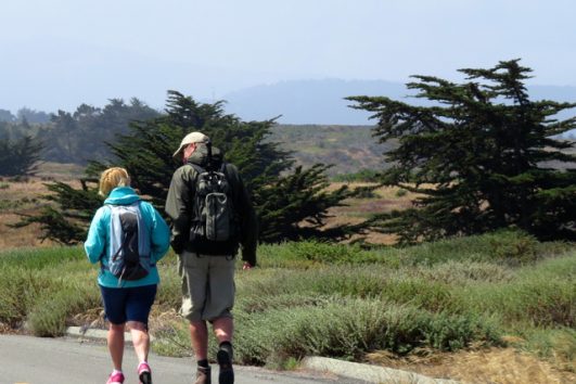 Walk The Bay | Slow Adventure